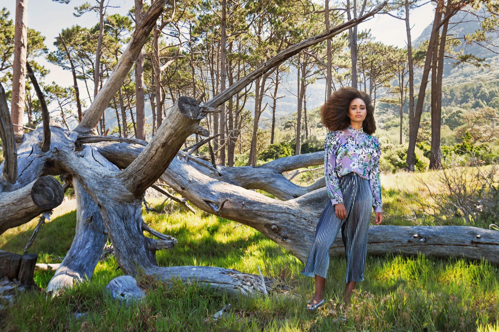 Divisions | ITP Media Group